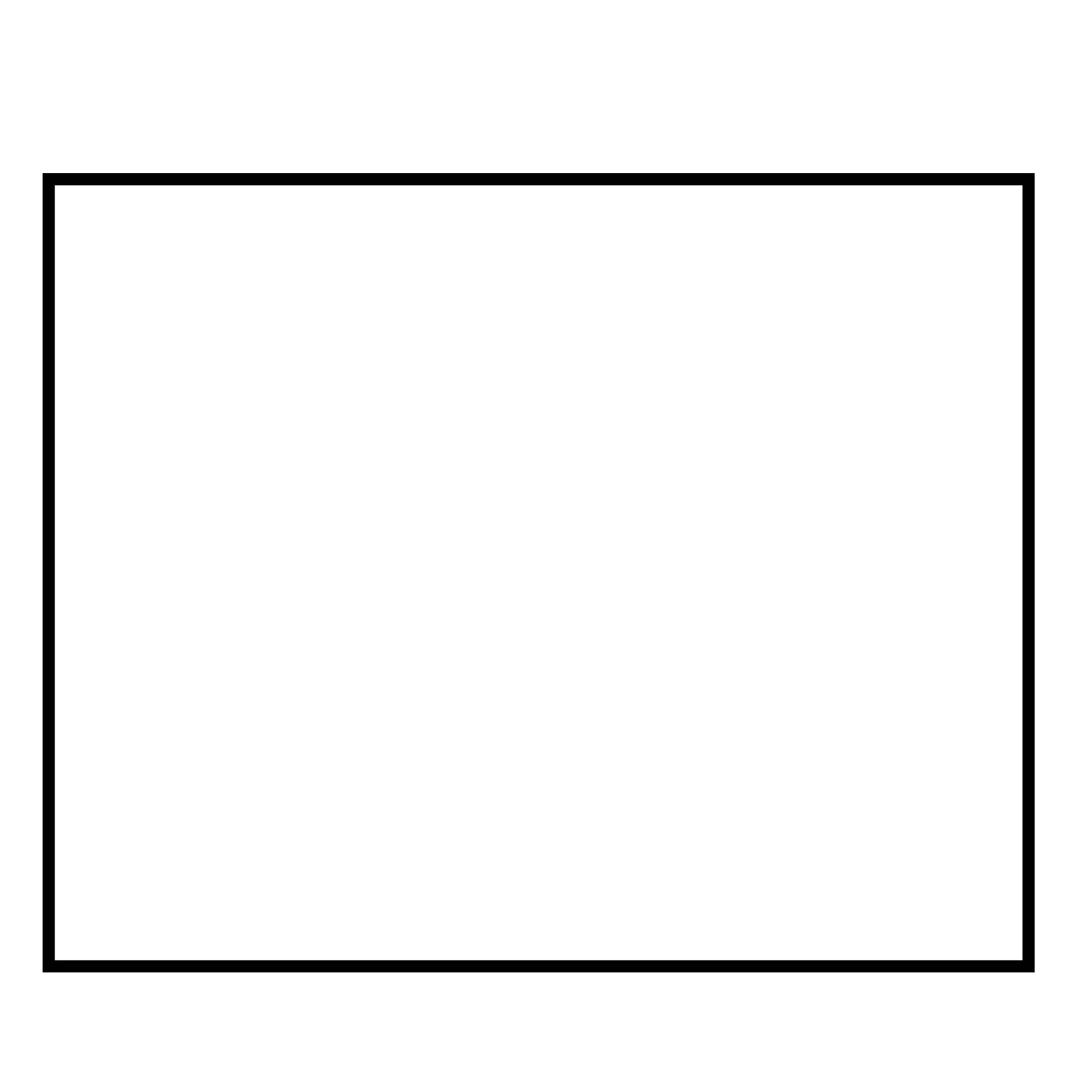 White Rectangle With Black Outline